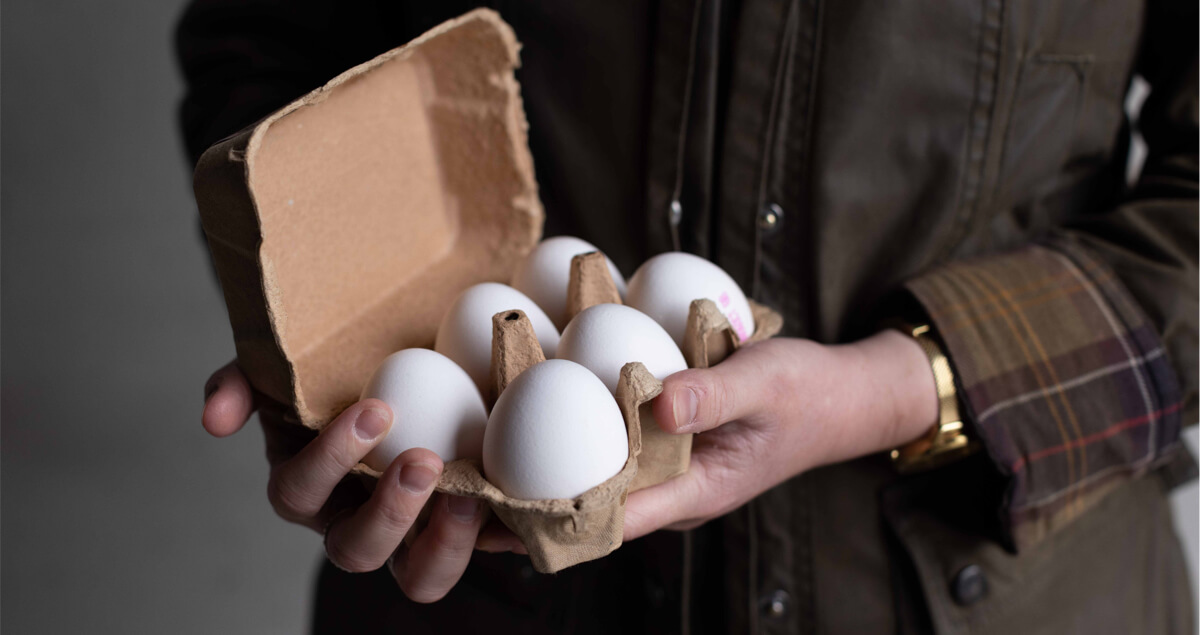 Security Policy – Respectful Eggs | Safeguarding Your Information